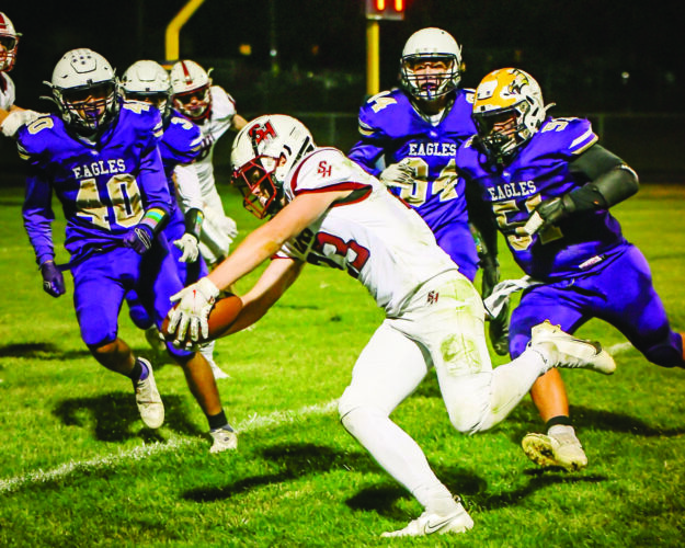 HAWKS FLYING HIGH | News, Sports, Jobs - The Freeman Journal